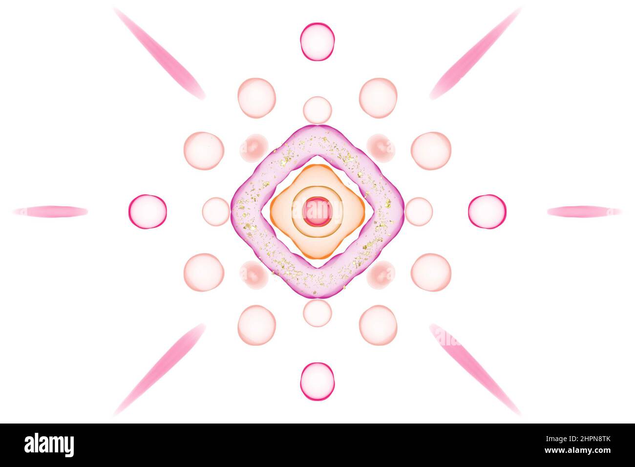 A geometric radial shape filled with round bubbles and delicate shapes ...