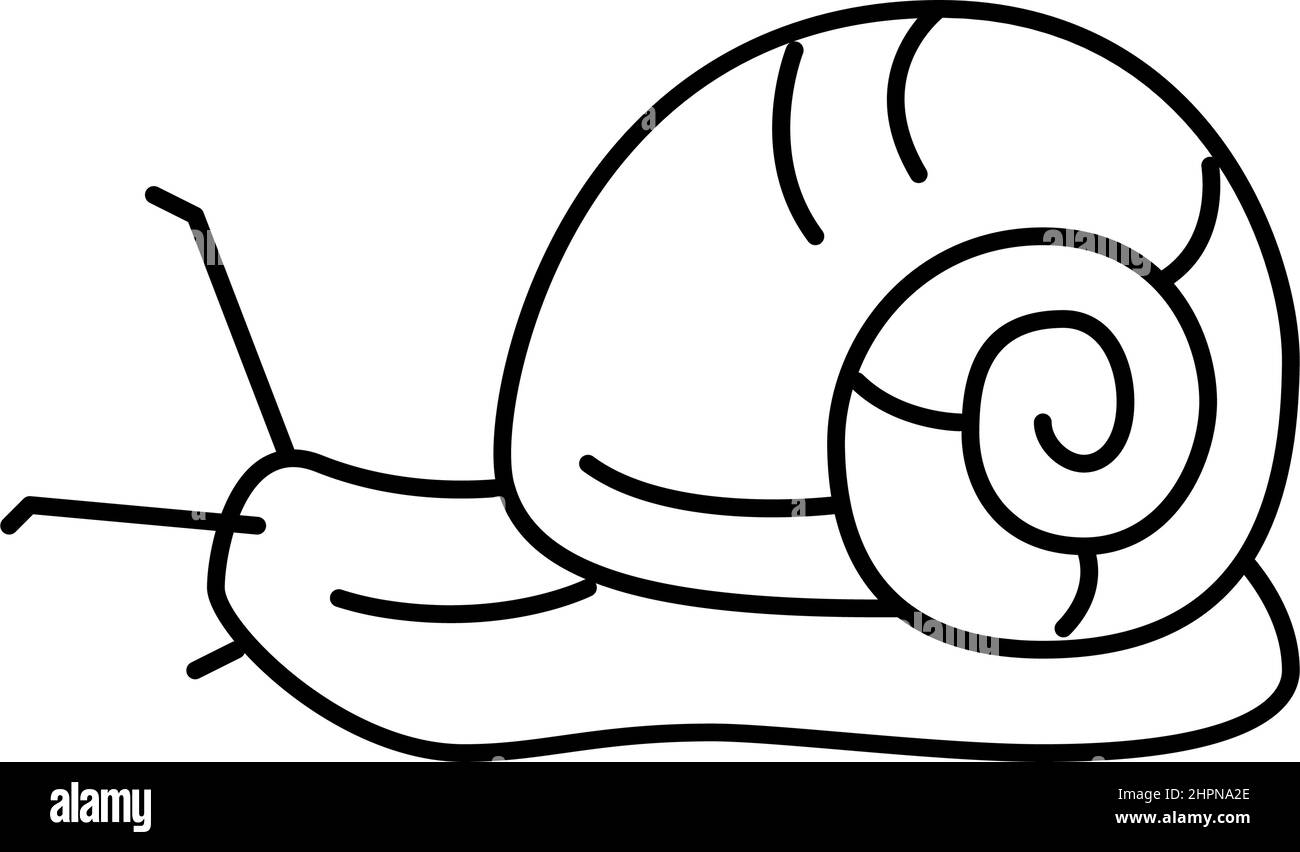 Vector crawling snail Black and White Stock Photos & Images - Alamy