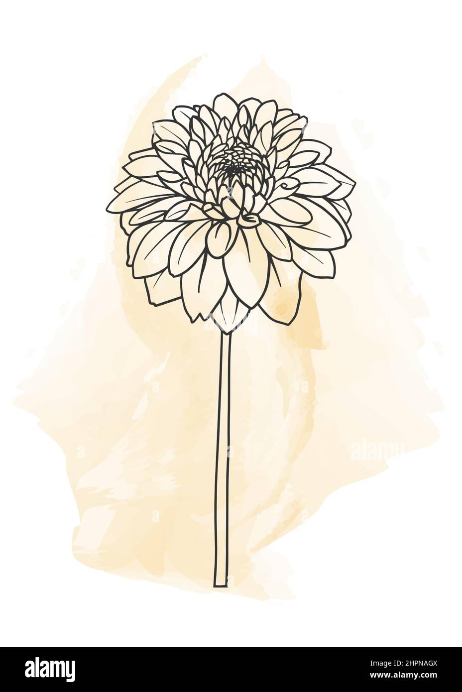 A modern universal art poster. Suitable for greeting cards, posters ...