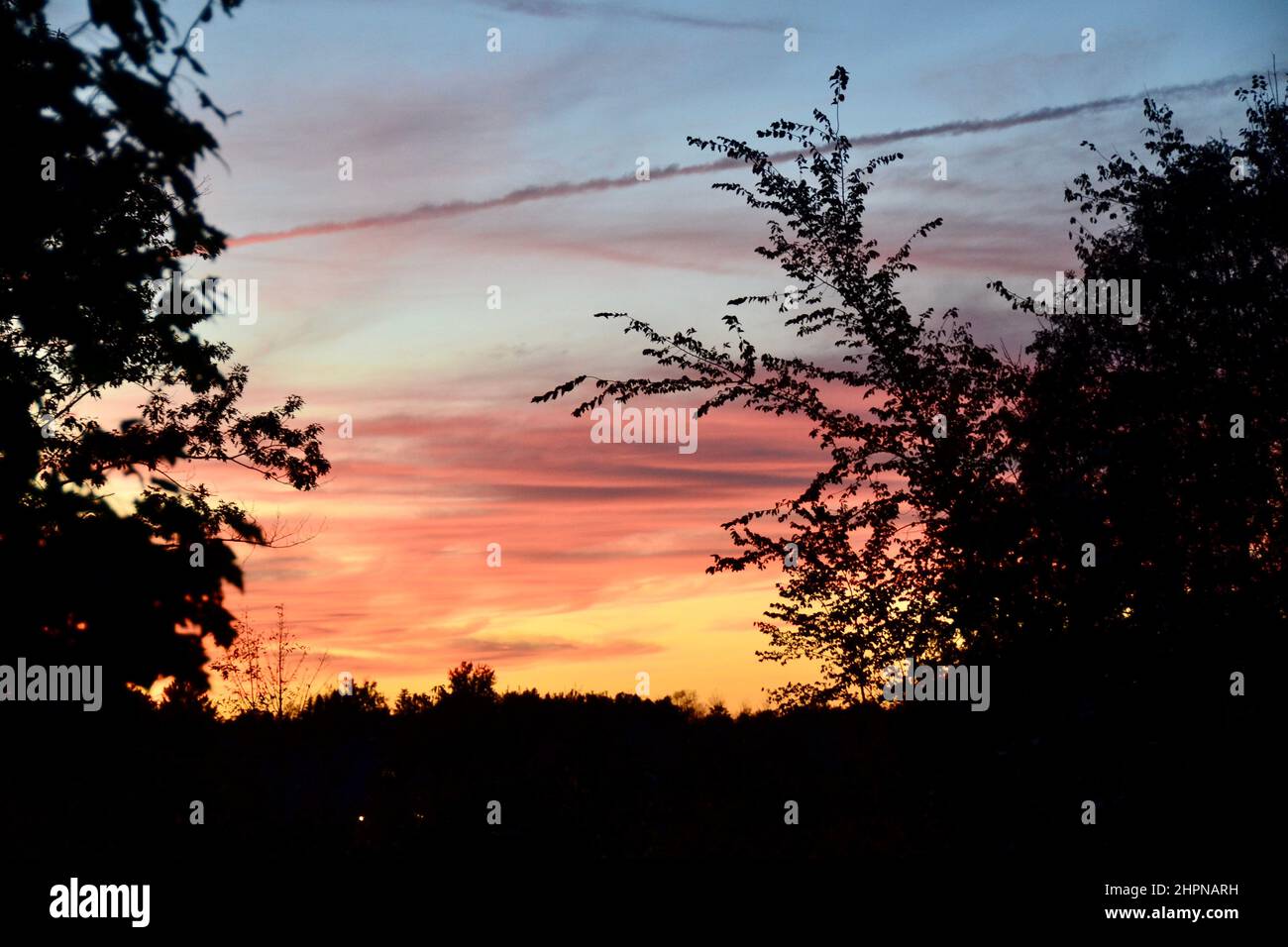 Warm and cool sunset colours with tree silhouettes at dusk during ...