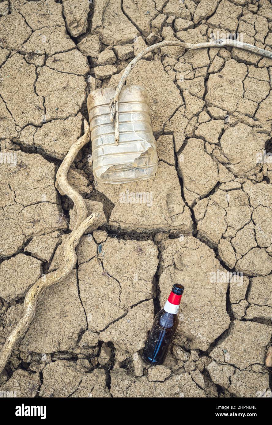 Plastic container and glass bottle thrown in the middle of nature.Dry ...