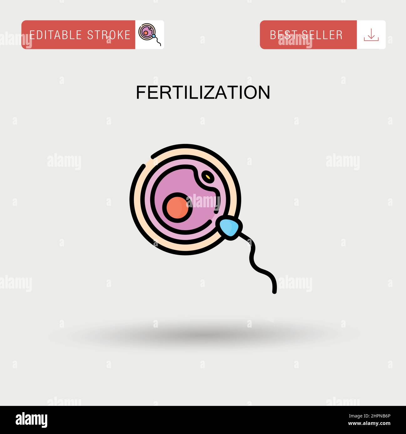 Fertilization Simple vector icon Stock Vector Image & Art - Alamy