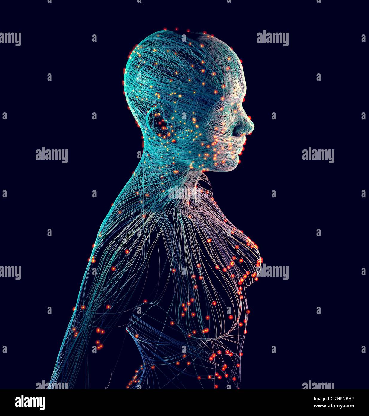 Neurology, philosophy: connections, the development of thought and ...