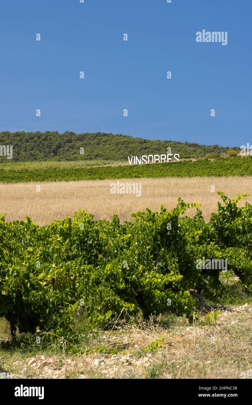 Typical vineyard near Vinsobres, Cotes du Rhone, France Stock Photo - Alamy