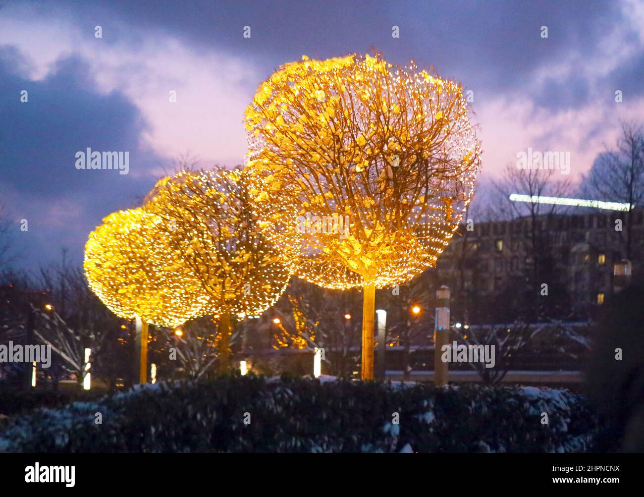 Golden trees with beautiful illumination glow with a bright light ...