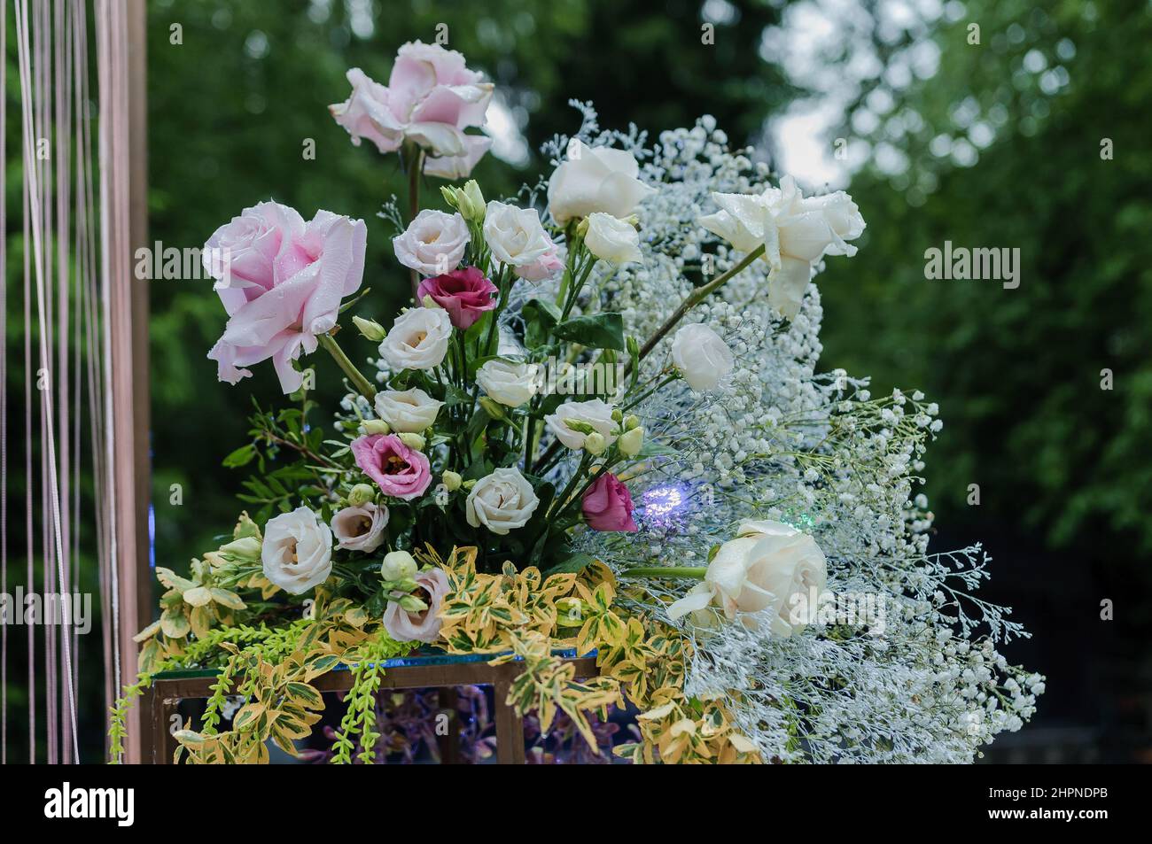 Wedding arch multi colored hi-res stock photography and images - Alamy