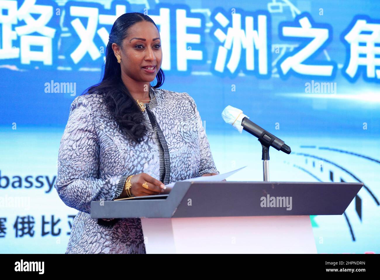 Addis Ababa. 22nd Feb, 2022. Dagmawit Moges, Ethiopia's minister of transport and logistics ...