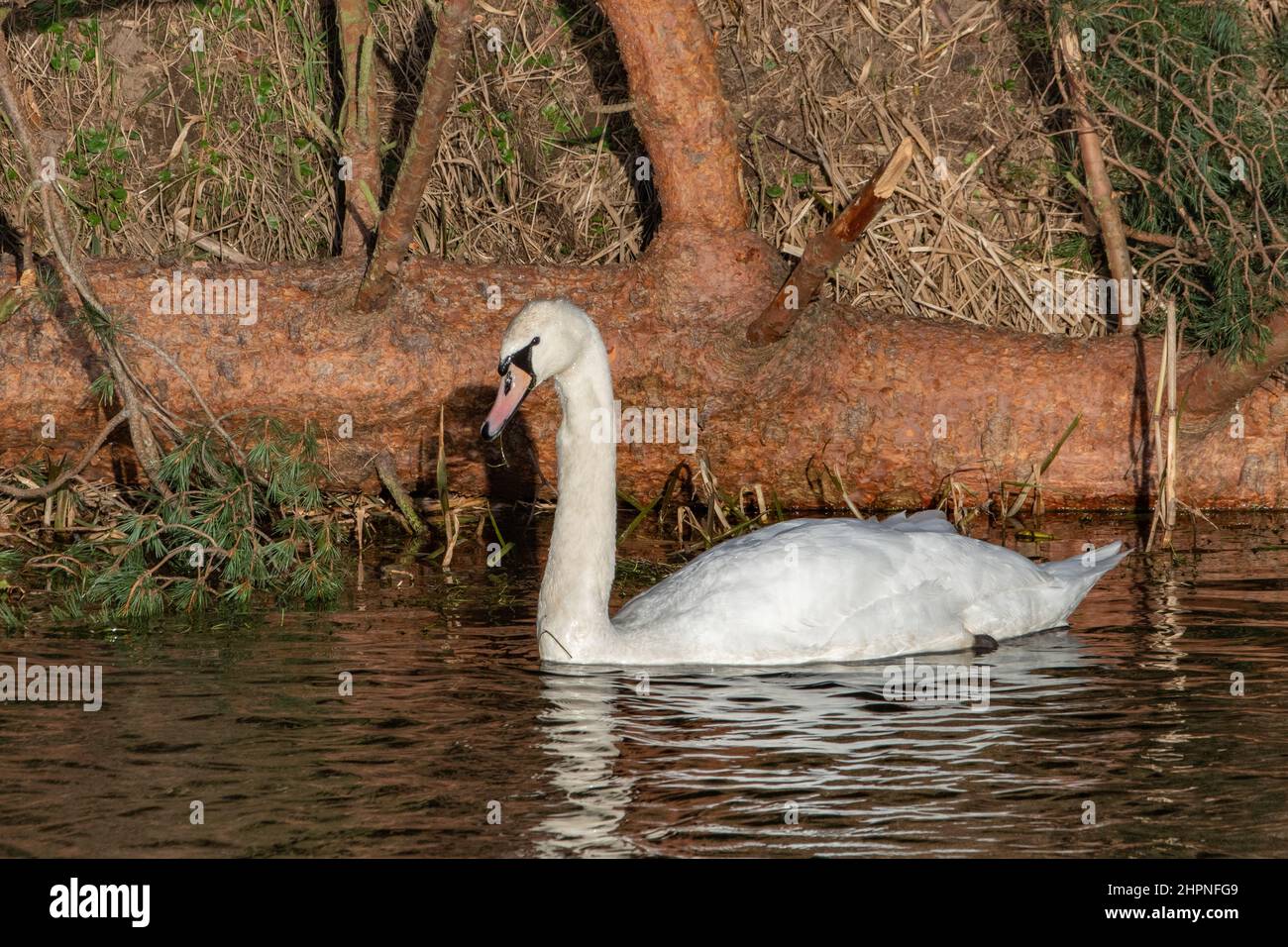 Dyce scotland hi-res stock photography and images - Alamy