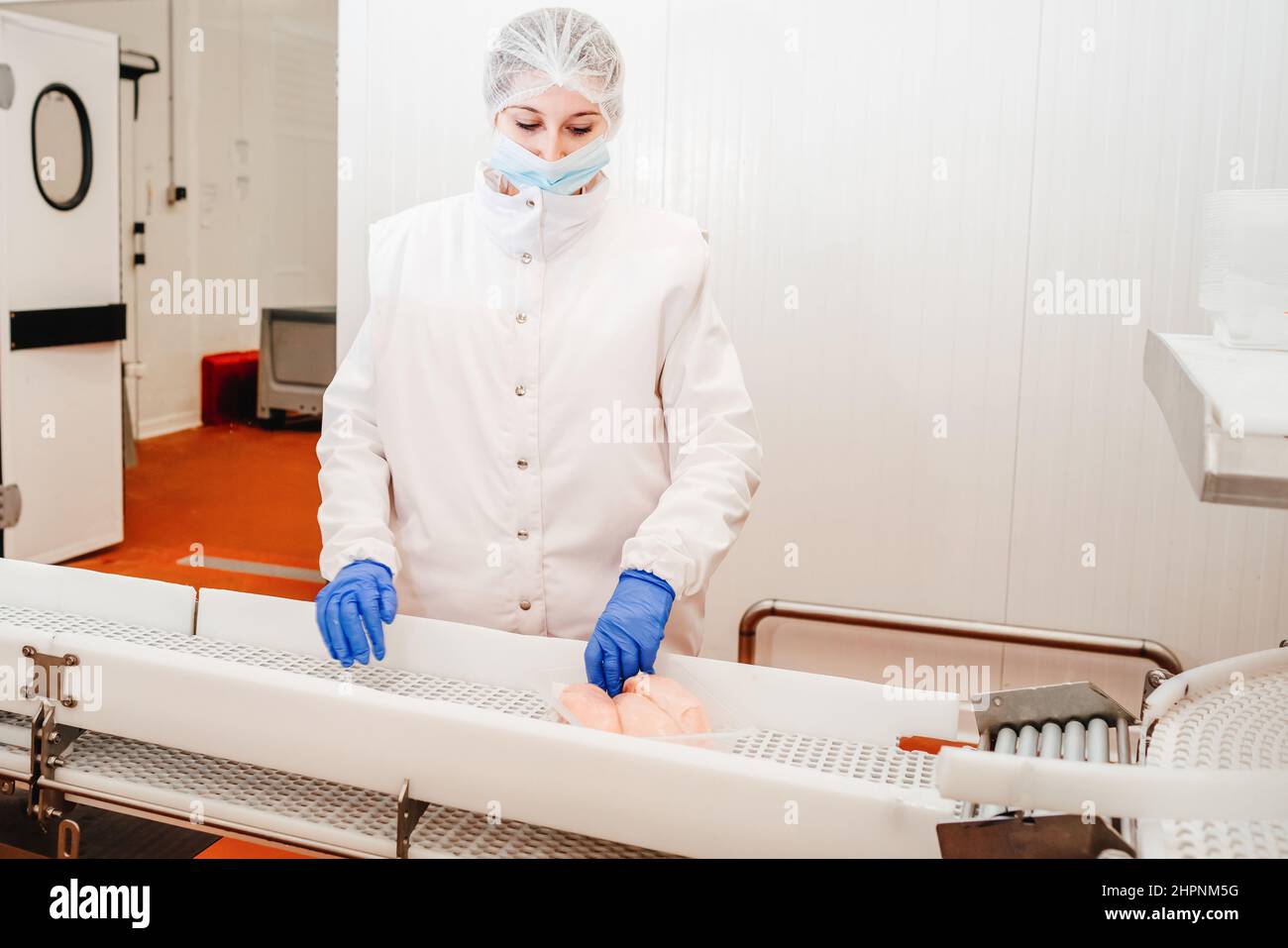 Chicken fillet production line . Factory for the production of food ...