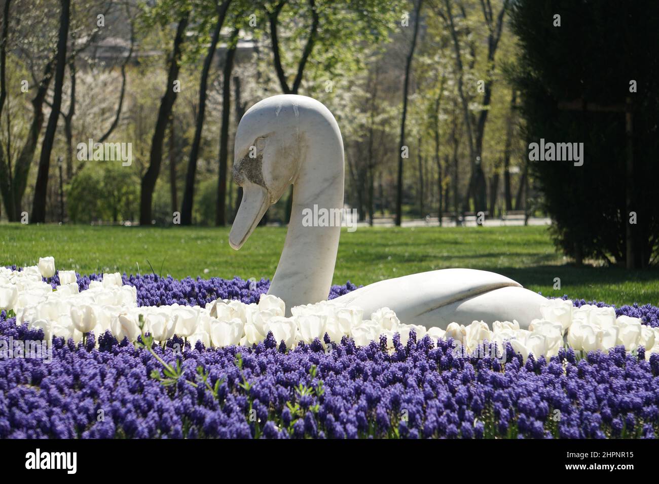 Tulips and flowers Emirgan park Stock Photo - Alamy