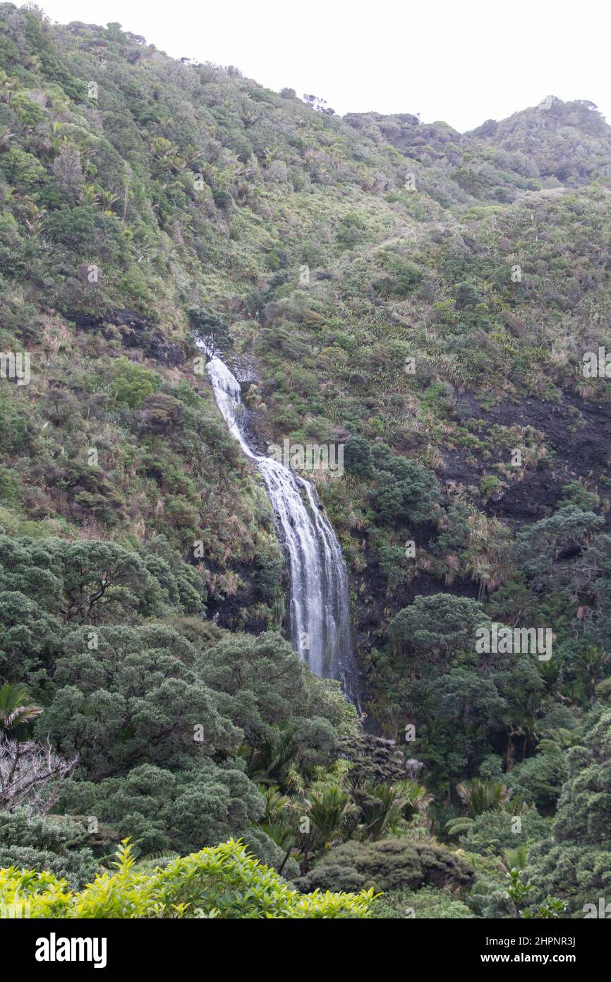 The view of Karekare waterfall, Waitakere Ranges Regional Park, New ...