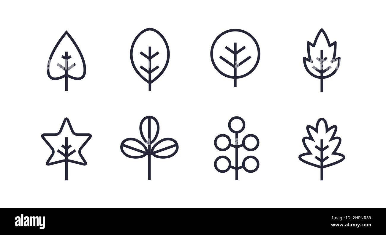 Leaf vector design line icon. Green line leaf plant outline symbol ...