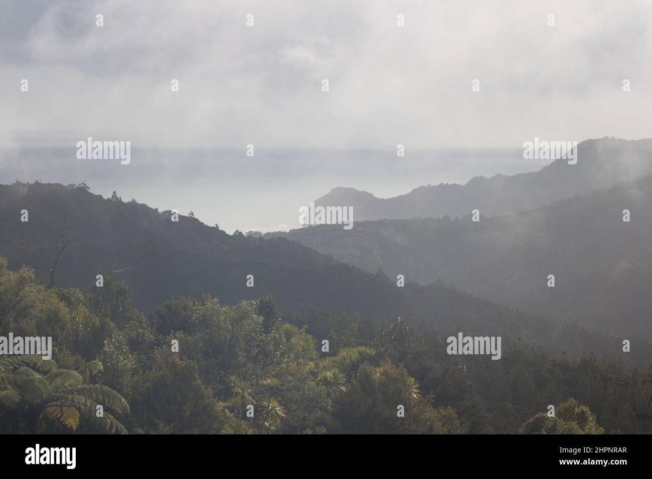 The view of picturesque landscape with fog and mountains at Waitakere ...