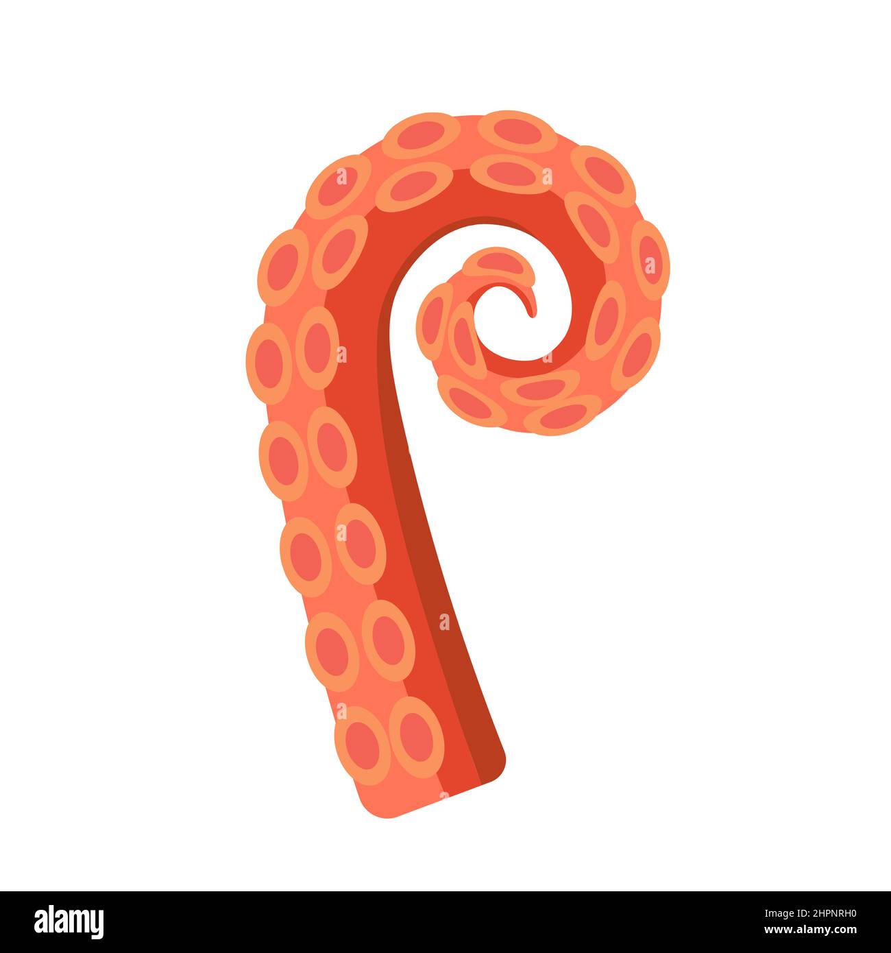 Octopus Tentacle Vector