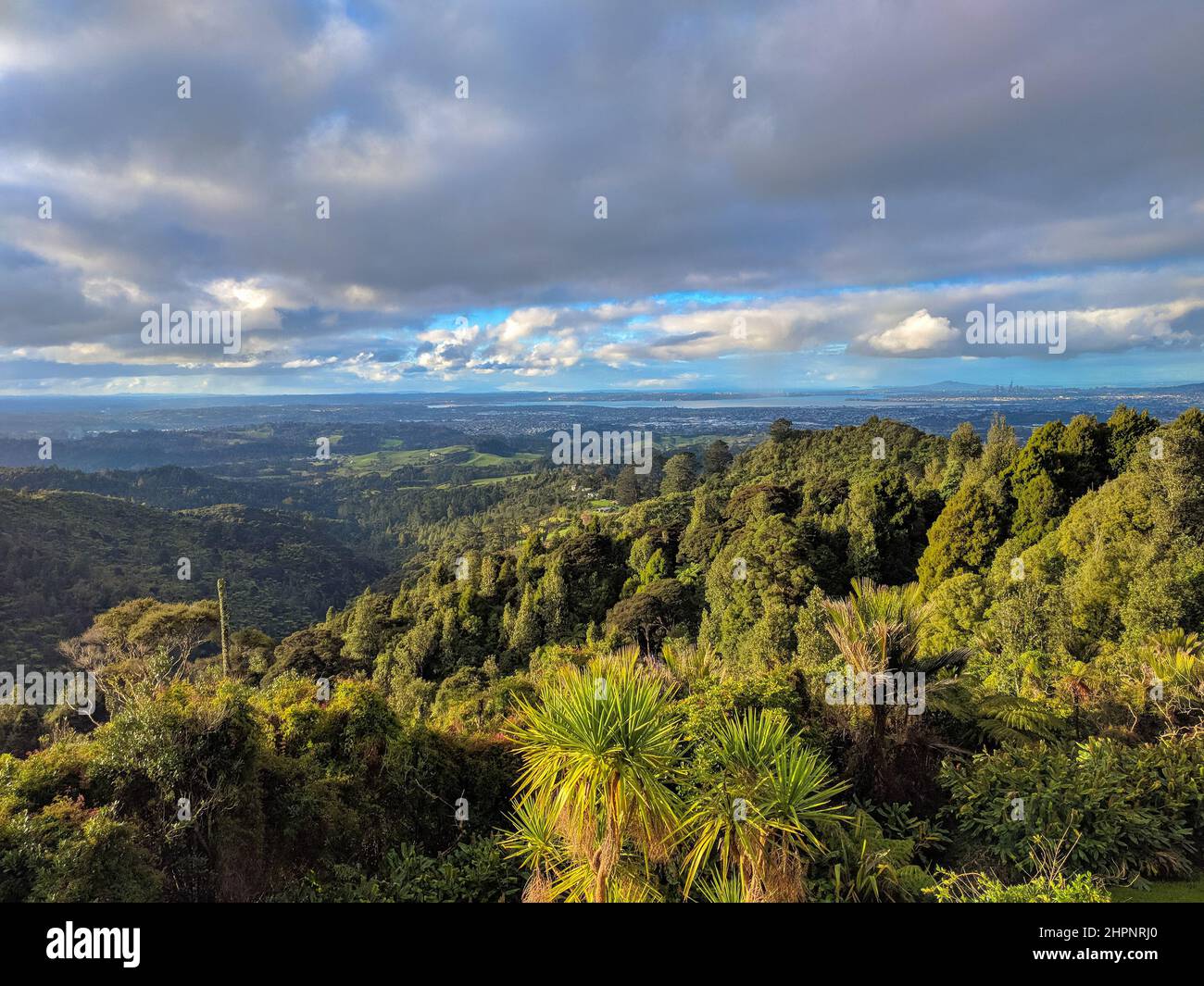 The view of panoramic view on the Auckland city and Rangitoto Island on ...