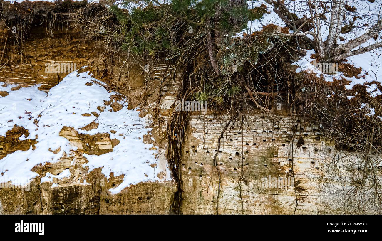 Roots, grass, and snow fall over ledge into river Stock Photo - Alamy