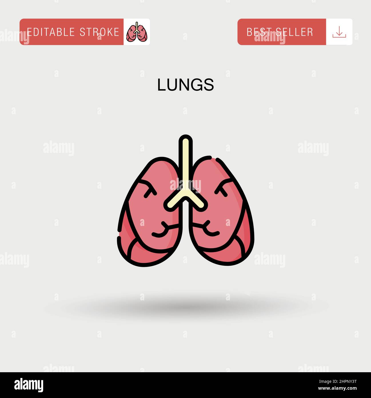 Pulmonary Tuberculosis Stock Vector Images Alamy