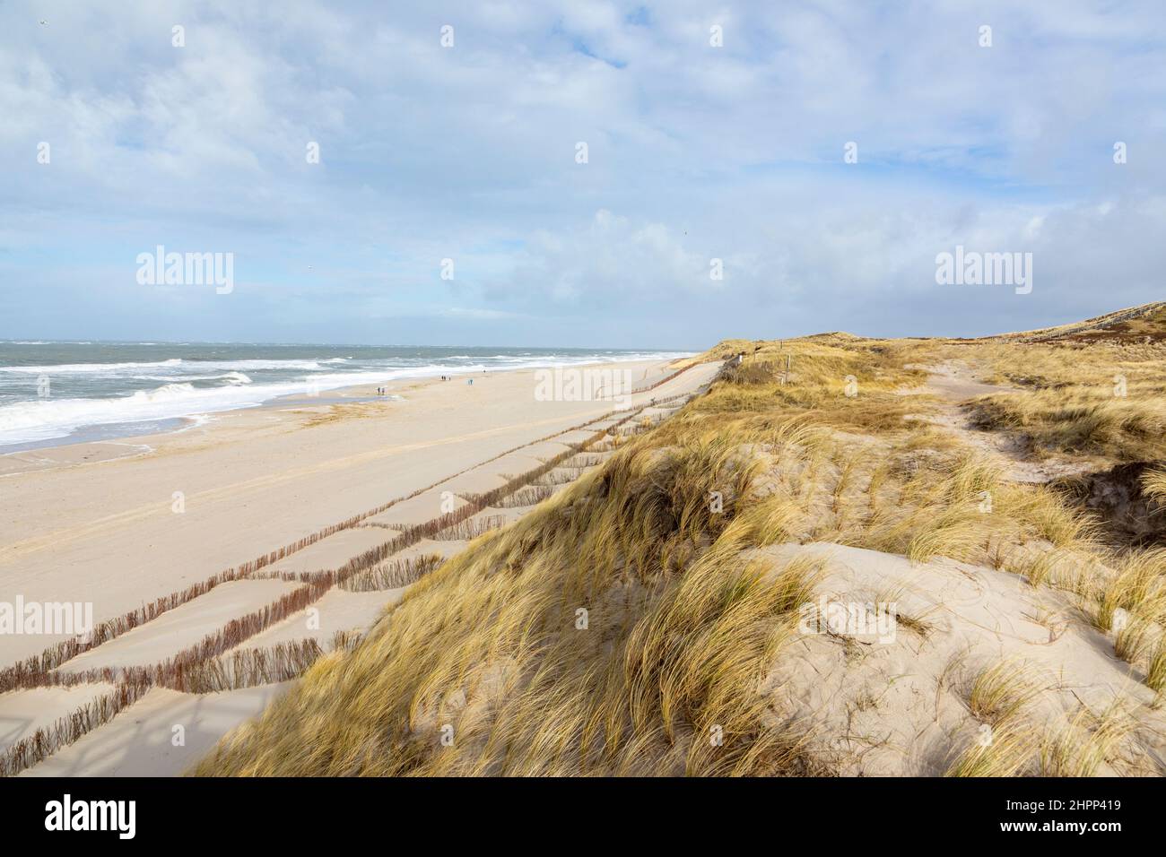 dune landscape at the west beach in List a t the island of Sylt in ...