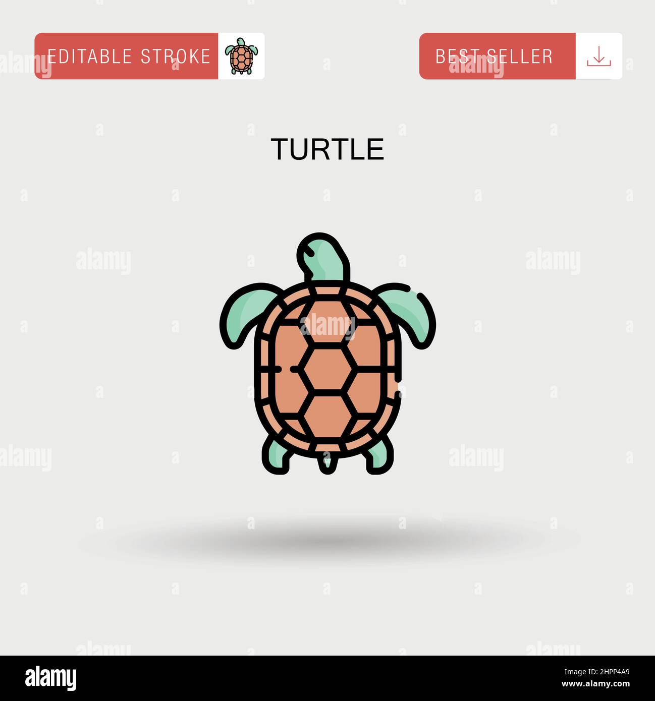 Turtle Simple vector icon Stock Vector Image & Art - Alamy