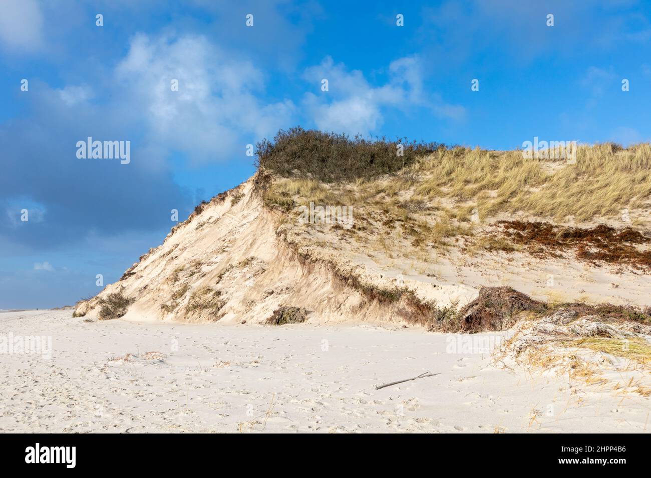 scenic dune landscape with beach at ocean North sea in Sylt, Germany ...
