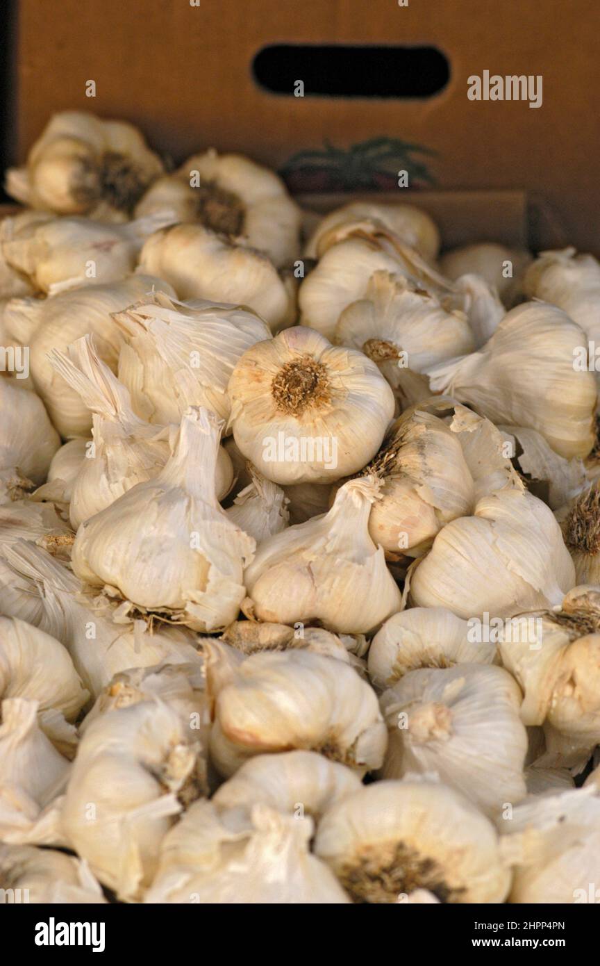 Fruits and vegetables for sale at farmers markets every day in the ...