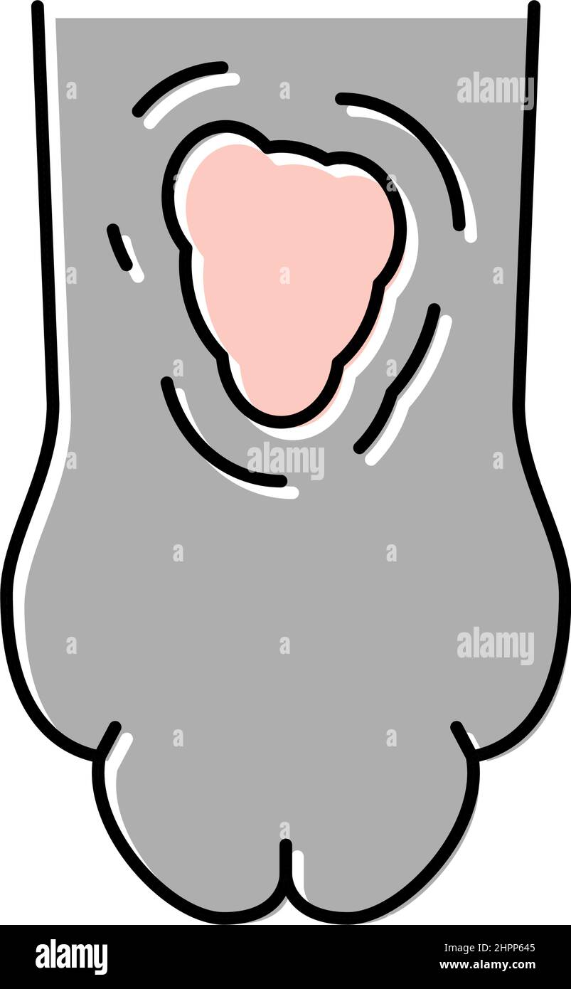 ringworm animal paw color icon vector illustration Stock Vector Image ...