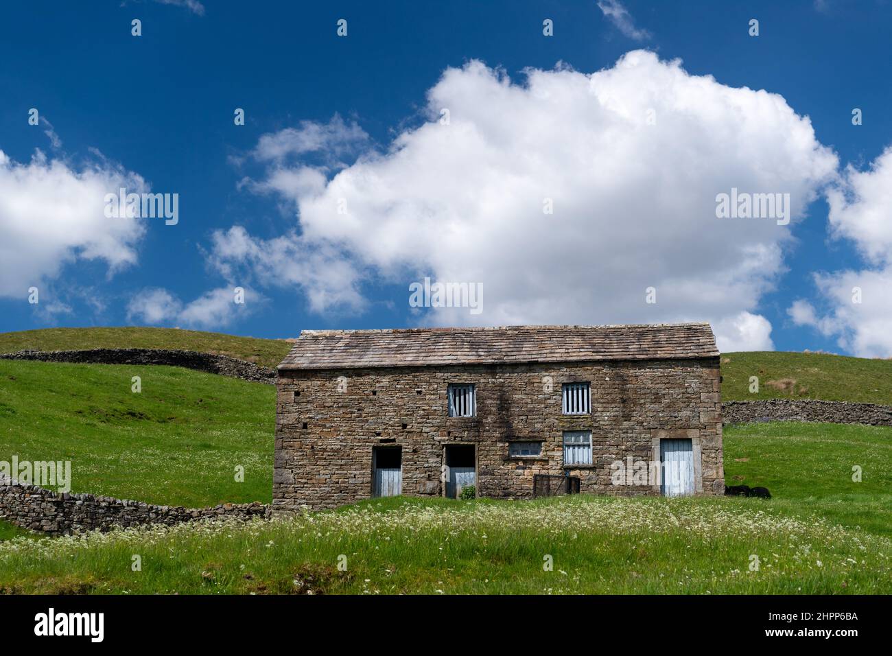 Traditional stone barn in Swaledale, which would have been used to ...
