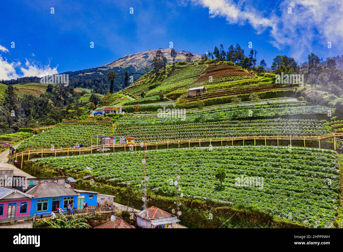 Dusun, Butuh, Temanggung, Kaliangkrik, Magelang, Jawa Tengah 56153 ...