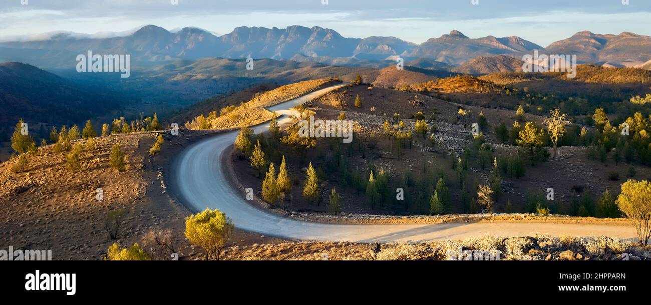 The beautiful early morning view from Razorback Lookout, Ikara Fliners ...