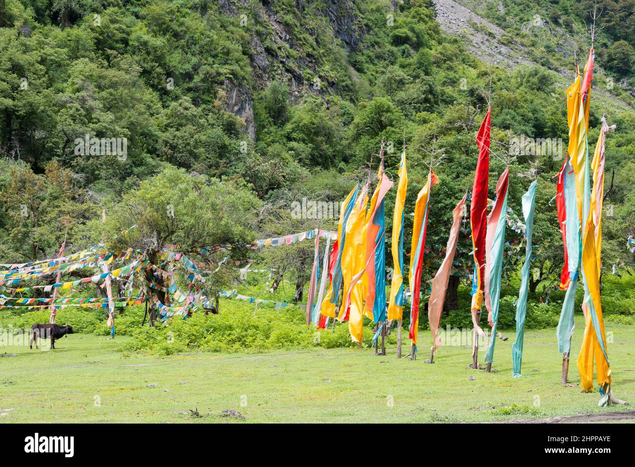 YUBENG, CHINA - Prayer flag at Yubeng Village. a famous landmark in the ...