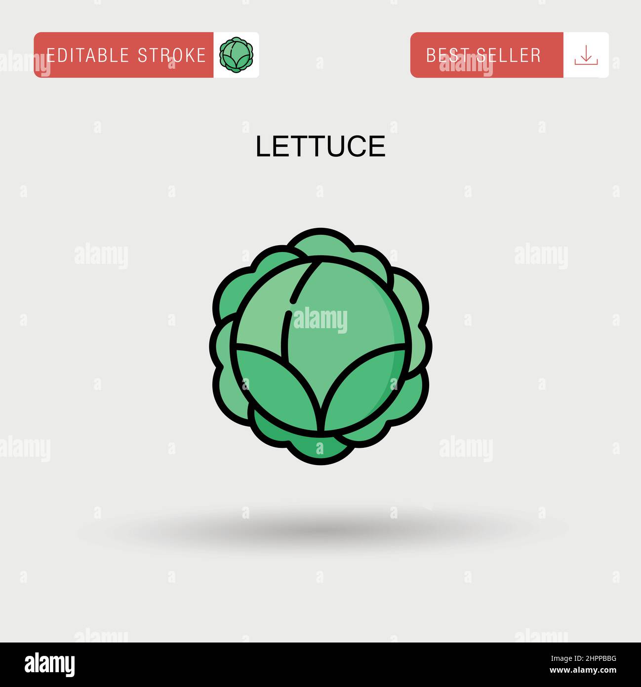 Green iceberg salad isolated Stock Vector Images - Alamy