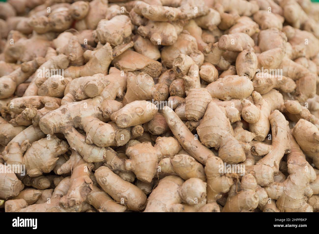 Fresh ginger roots background Stock Photo - Alamy
