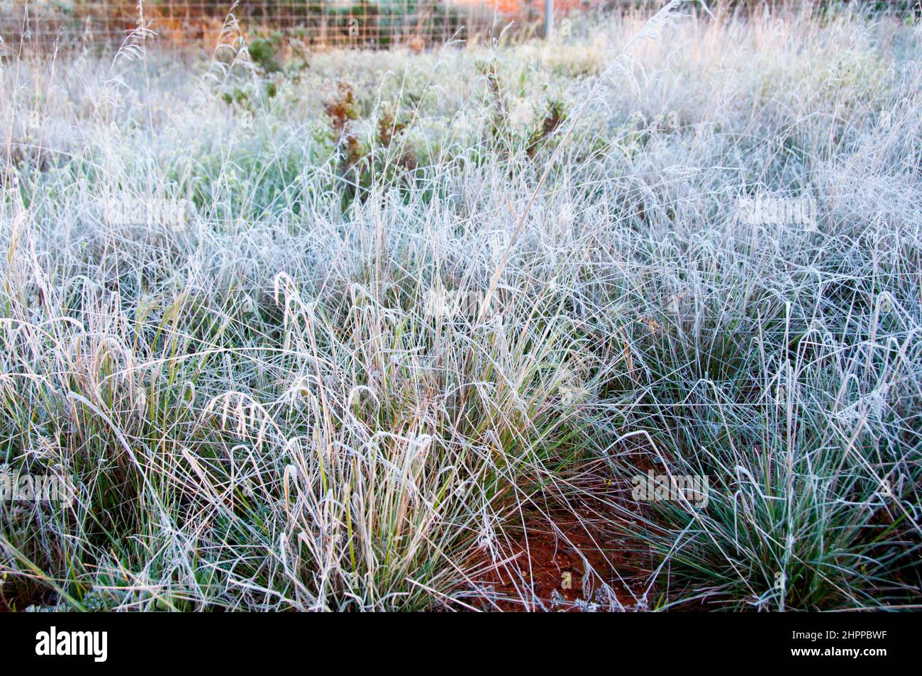 W.a. frost hi-res stock photography and images - Alamy