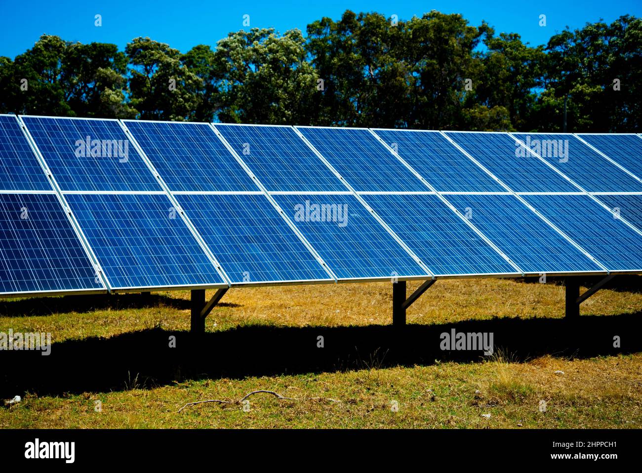 Solar Energy In South Australia at Pam Kirkland blog