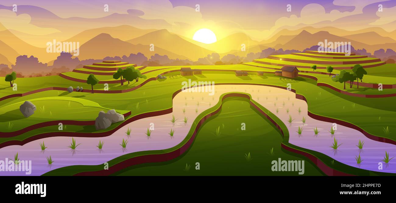 Paddy harvest in philippines Stock Vector Images - Alamy