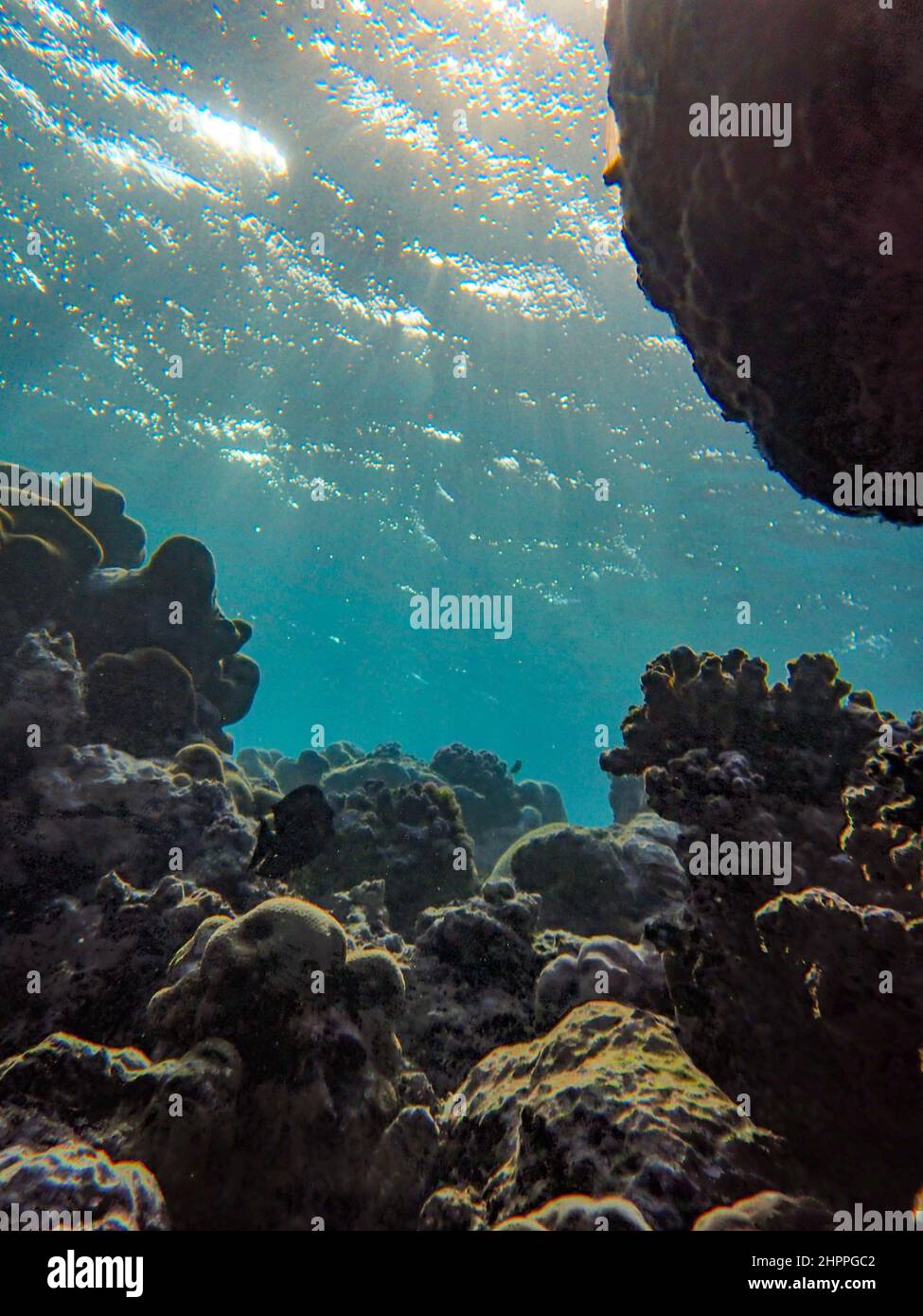 Gorgeous ocean view hi-res stock photography and images - Alamy