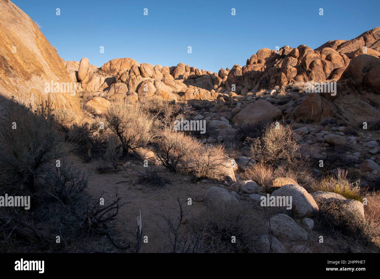 Mt. Whitney, the tallest mountain peak in the lower 48 states, stands ...
