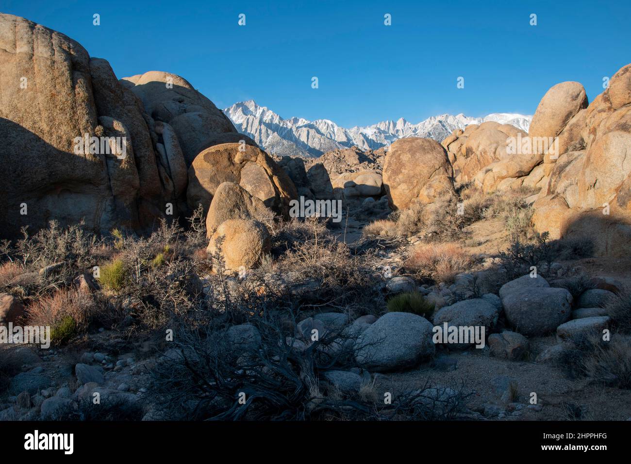 Mt. Whitney, the tallest mountain peak in the lower 48 states, stands ...
