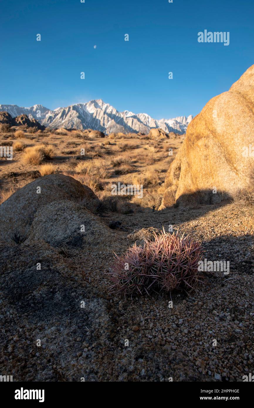Mt. Whitney, the tallest mountain peak in the lower 48 states, stands ...
