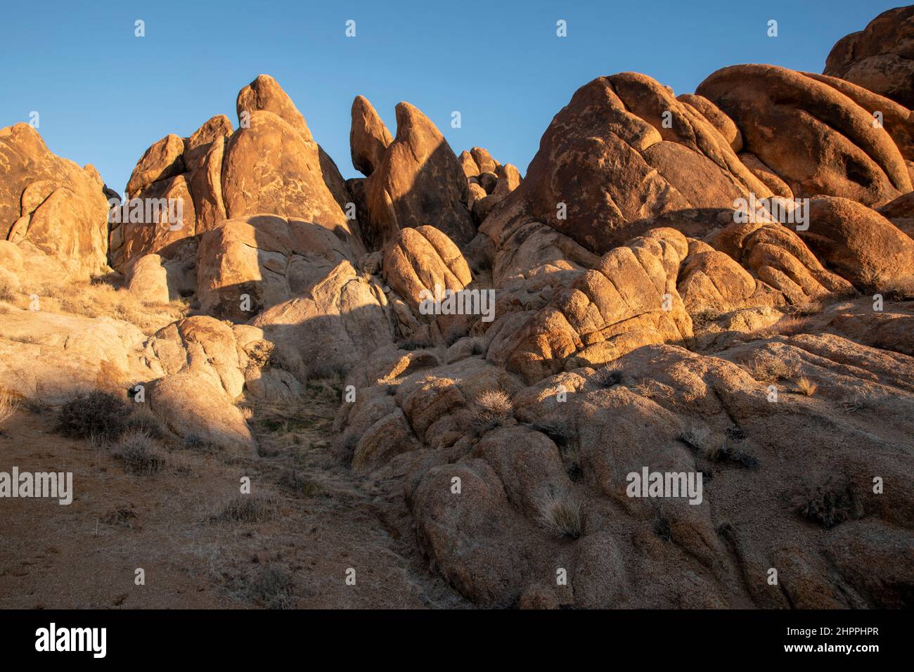 Mt. Whitney, the tallest mountain peak in the lower 48 states, stands ...
