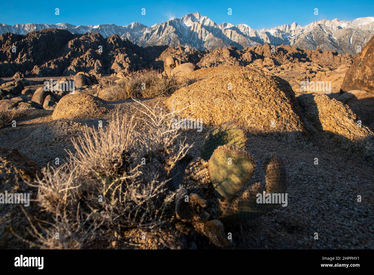Mt. Whitney, the tallest mountain peak in the lower 48 states, stands ...