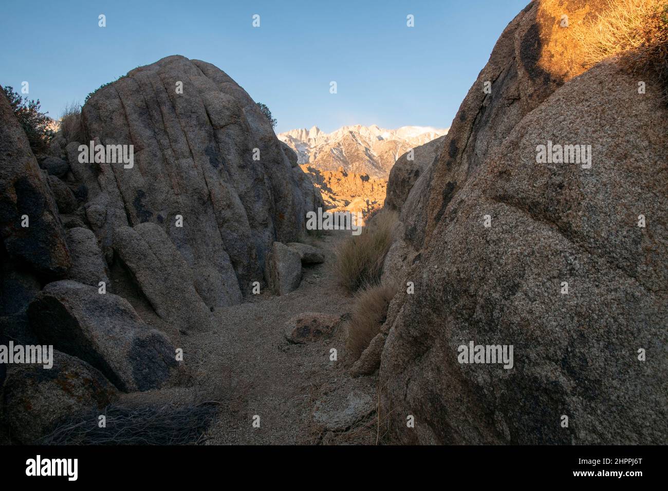 Mt. Whitney, the tallest mountain peak in the lower 48 states, stands ...