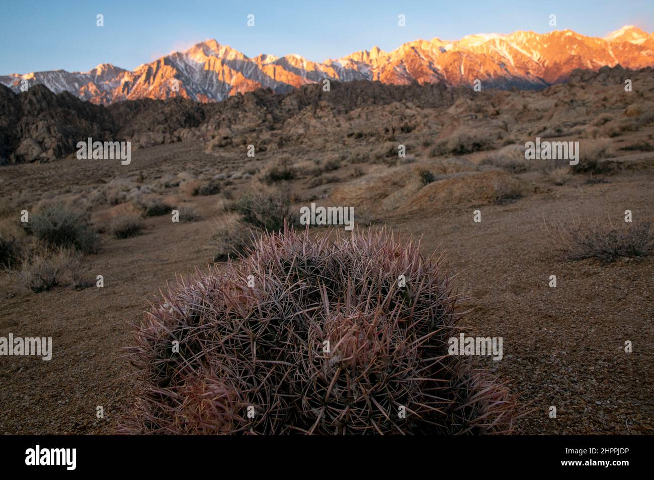 Mt. Whitney, the tallest mountain peak in the lower 48 states, stands ...