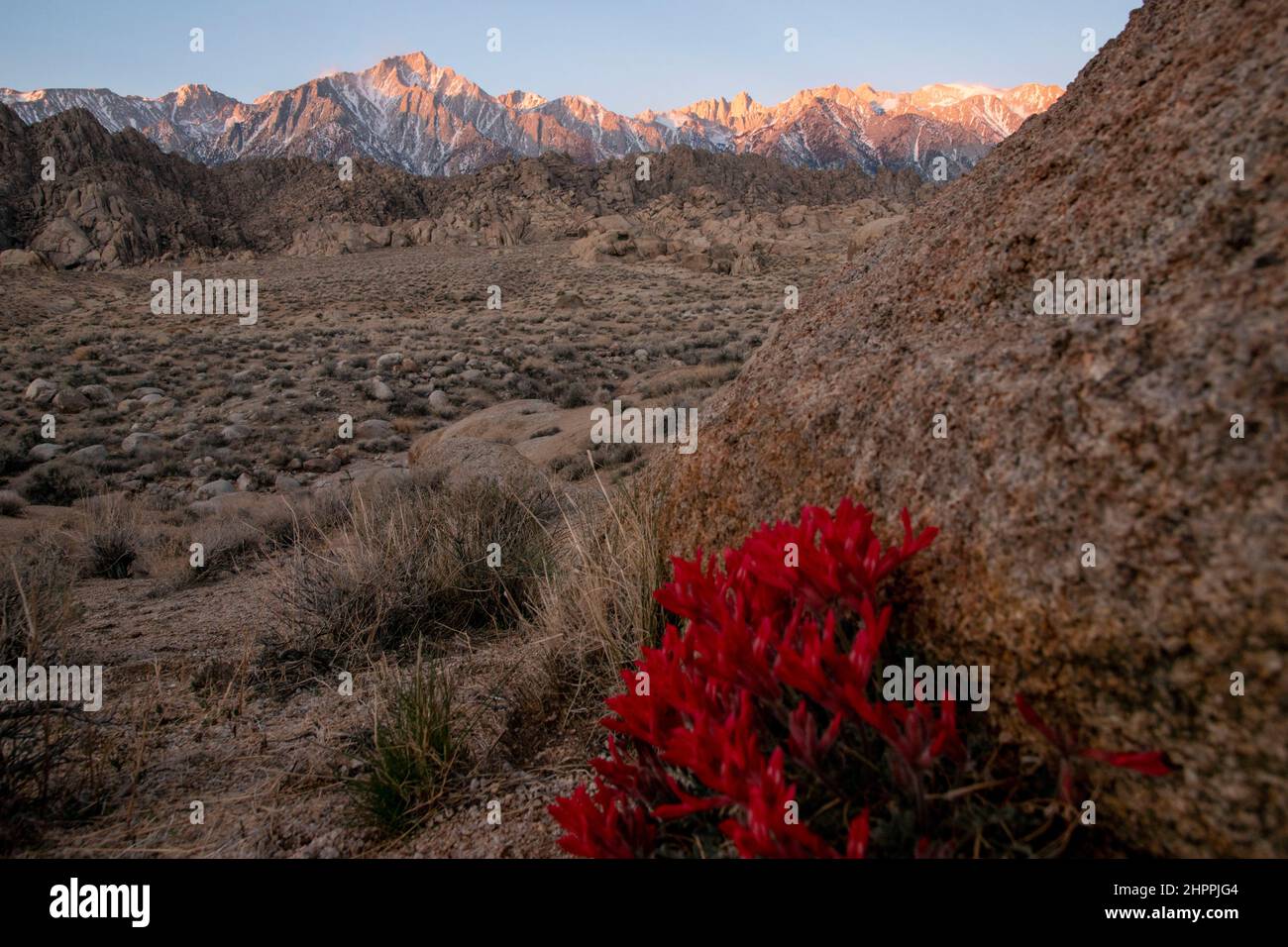 Mt. Whitney, the tallest mountain peak in the lower 48 states, stands ...