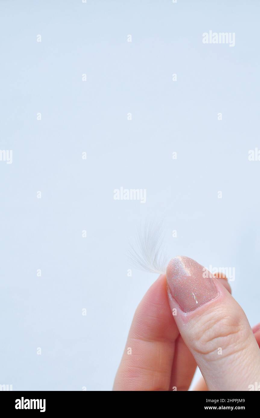 Little white feather on hand macro view Stock Photo - Alamy