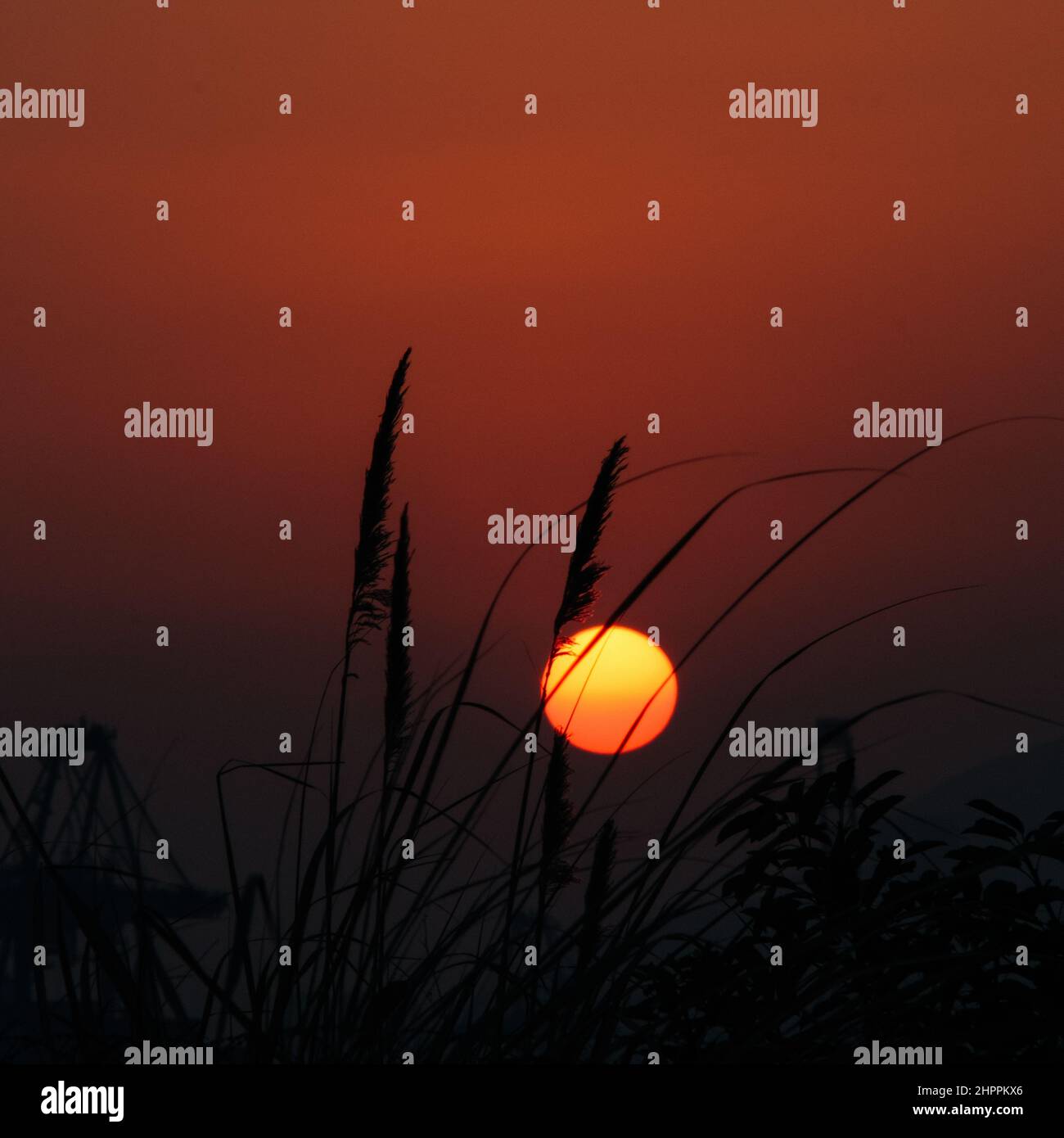 Stunning view of an orange sunset Stock Photo - Alamy