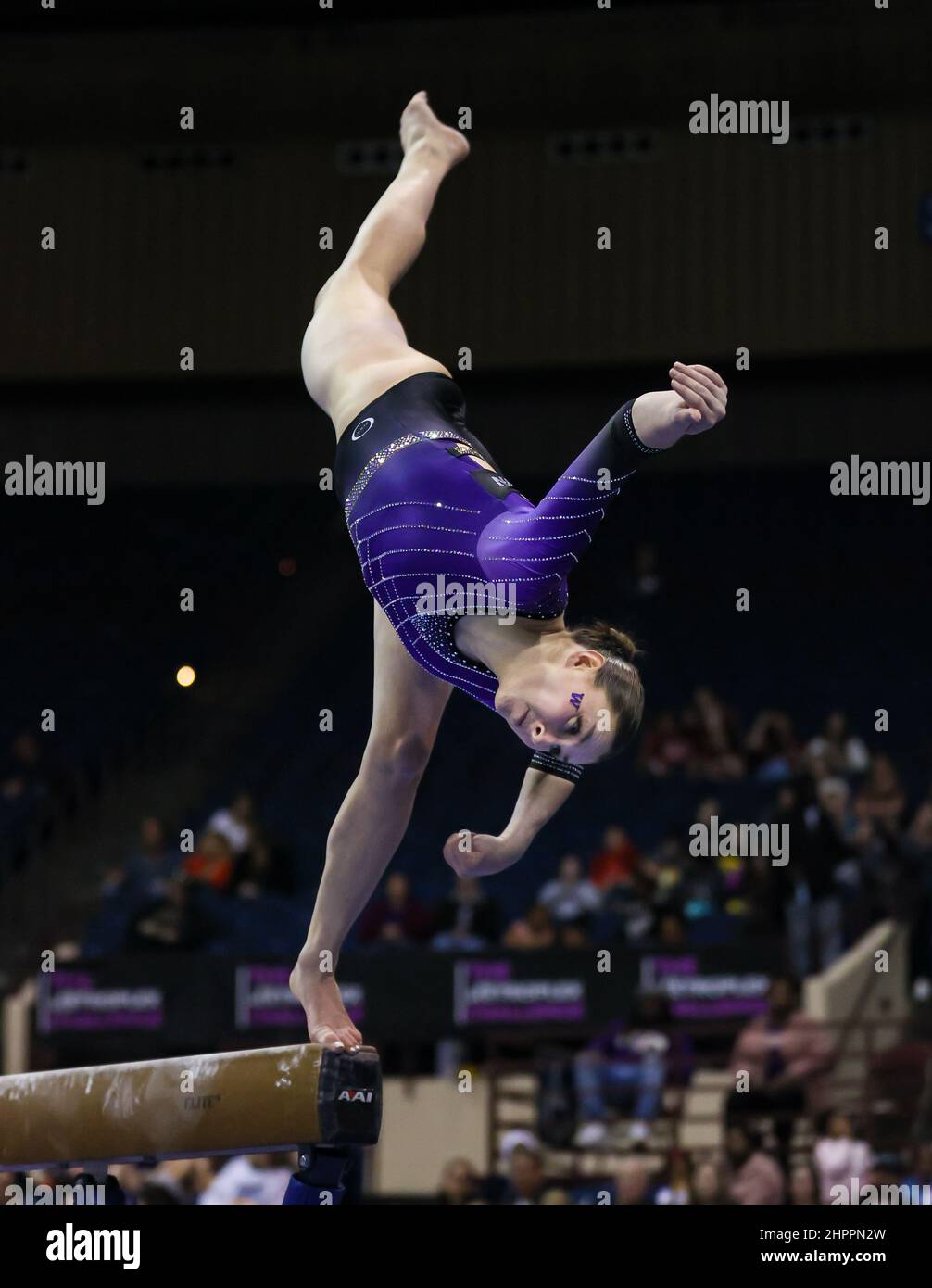 Fort Worth, TX, USA. 19th Feb, 2022. Washington's Morgan Bowles ...