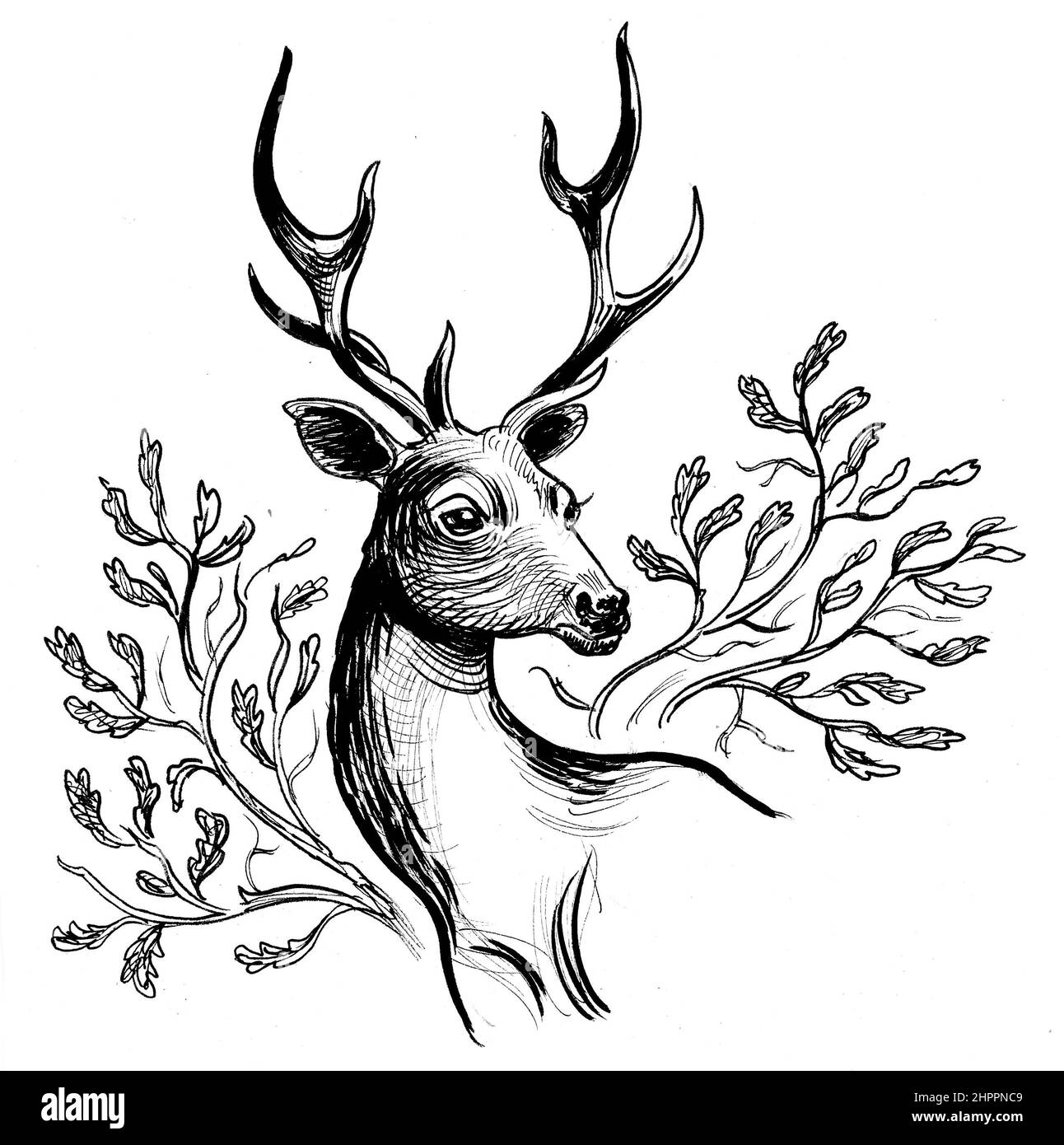 Deer Buck Head Clip Art