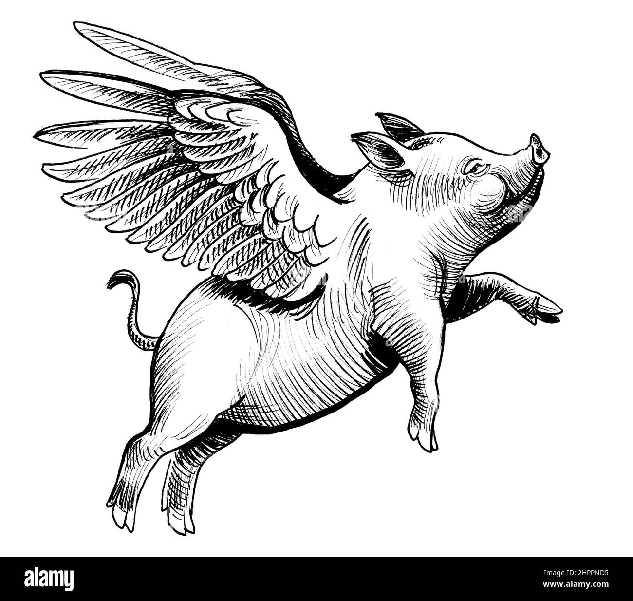 Flying Pig Drawing Flying Pig 8"x8" Art Print Mowbi Wholesale