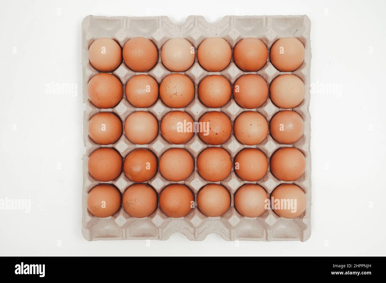 Thirty eggs in a paper tray on a white background Stock Photo - Alamy